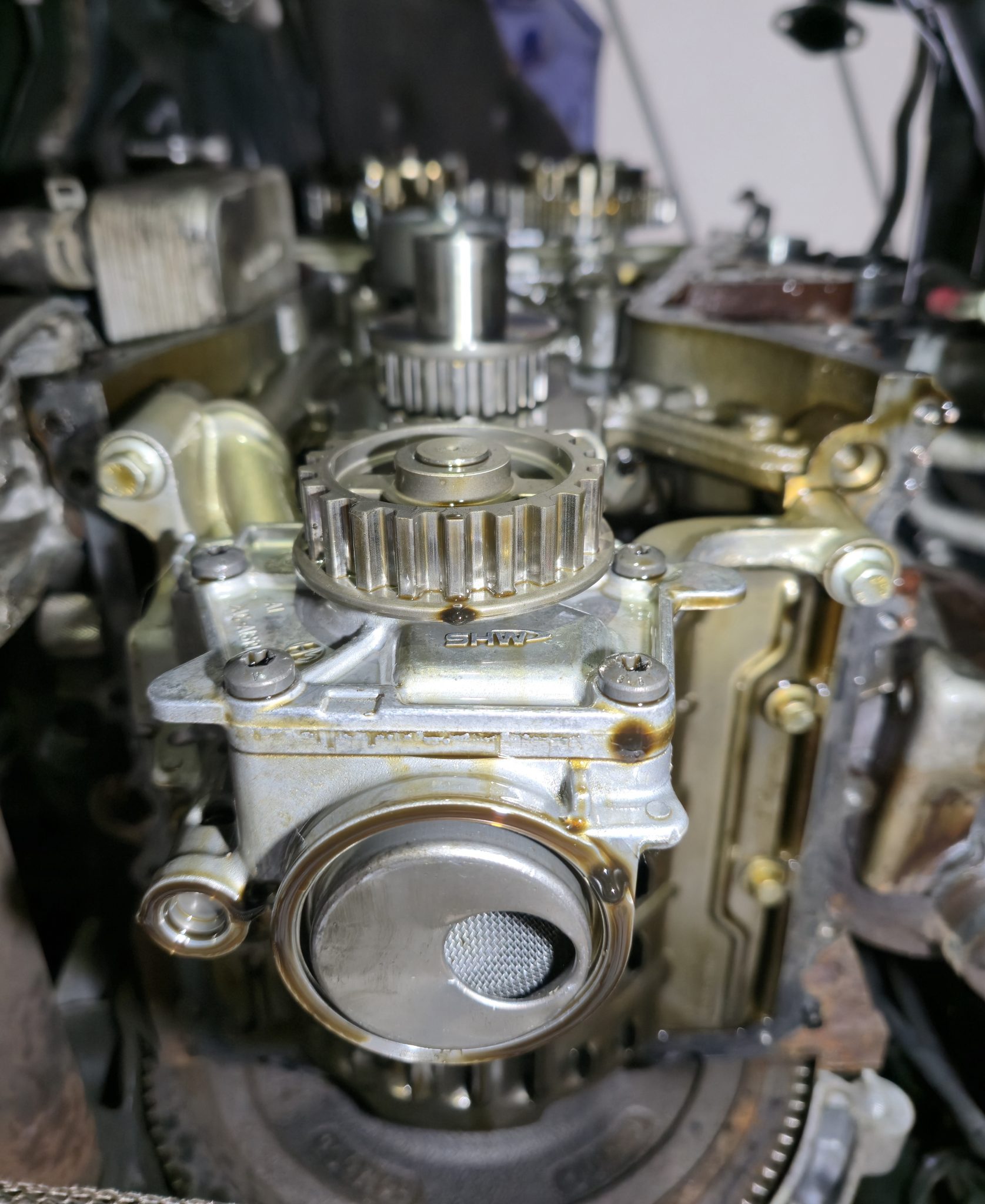 Wet Belt Replacement Specialist Cambridgeshire - HBM Motor Garage